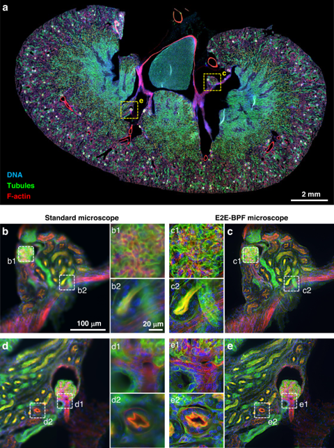 COMPUTATIONAL IMAGING & INSTRUMENTATION LABORATORY – Department of ...